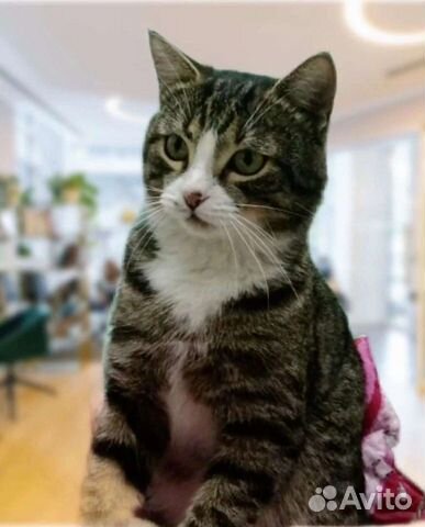 Европейская