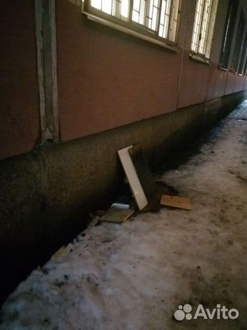 Котята бесплатно
