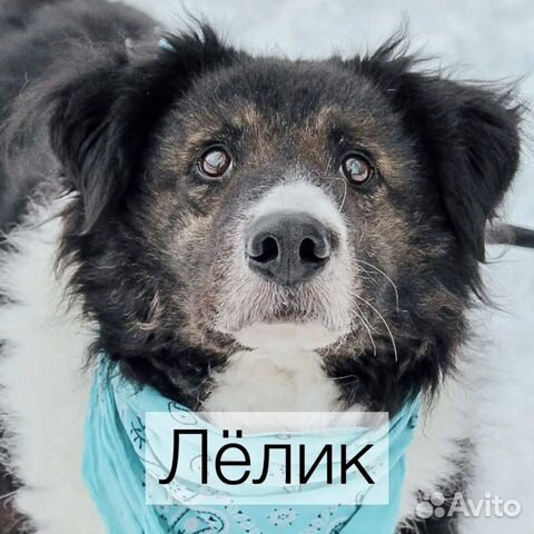 Лёлик, простой и добрый парень