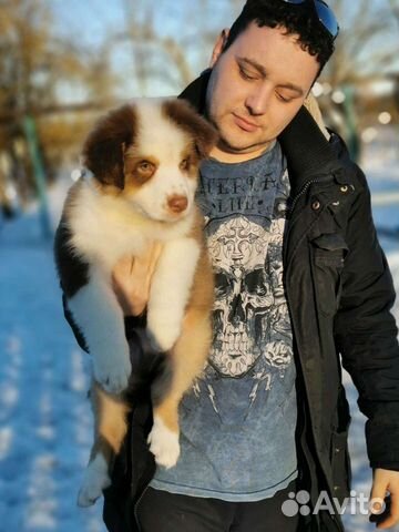 Доминик