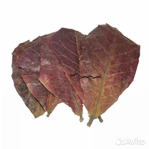 Листья миндаля