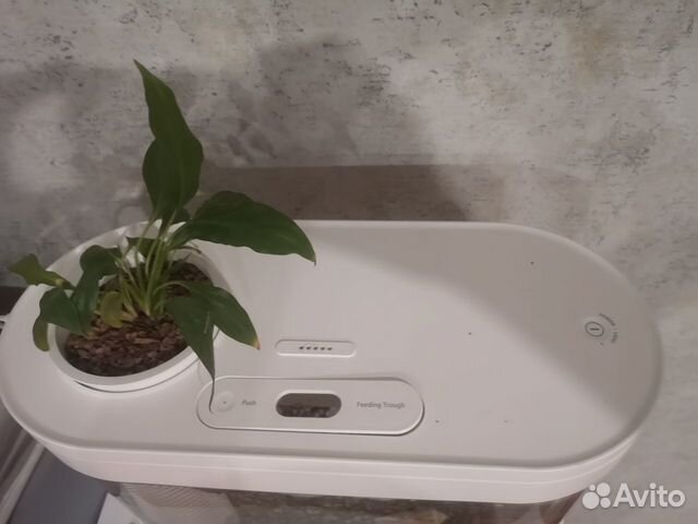 Отдам акваферму Xiaomi с аквариумными рыбками