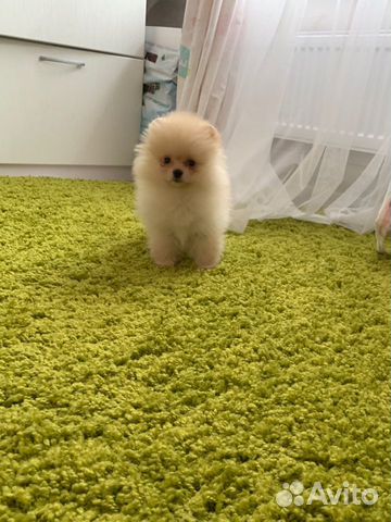 Малыш Джонни