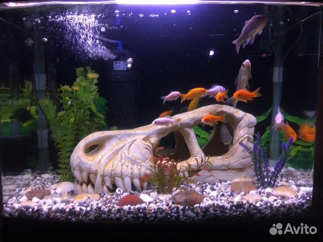 Аквариум jebo R 362 100 литров