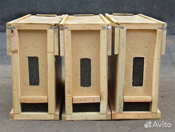 Пчелопакеты 3+1 Карника Краснодар