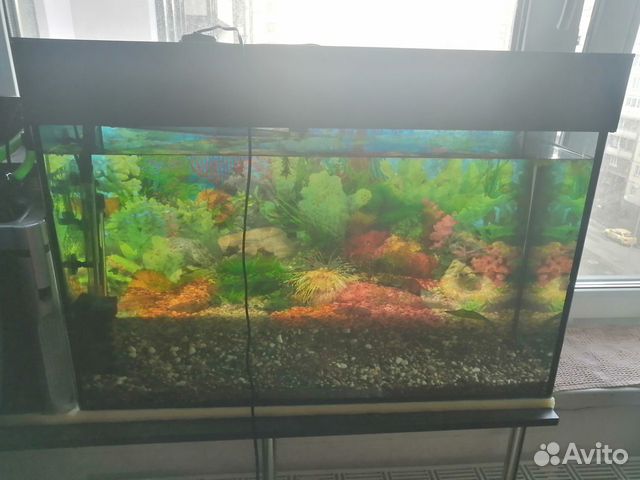 Продам два аквариума в полном сборе 200 л, 100 л