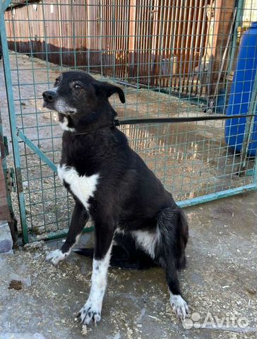 Бедная Жасмин нуждается в заботе