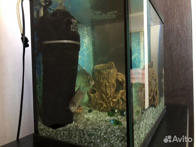 Аквариум с тумбой