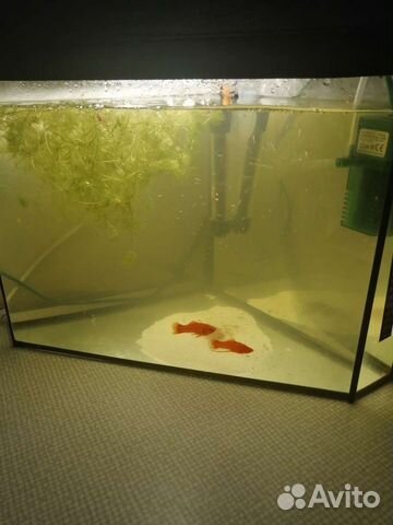 Аквариум 35л и комплектующие