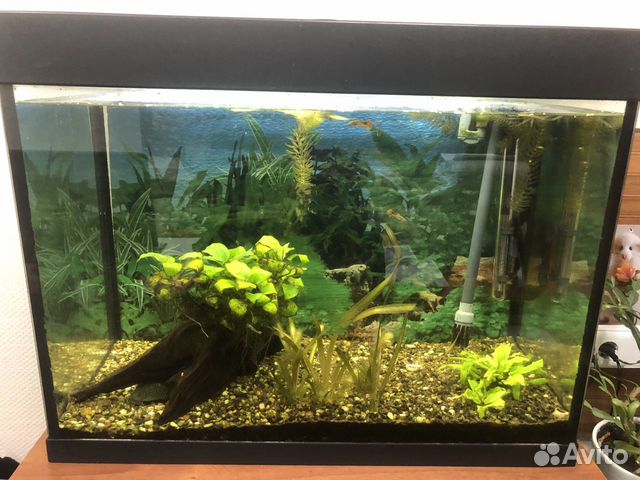 Аквариум
