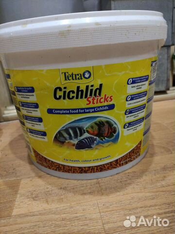 Tetra cichlid