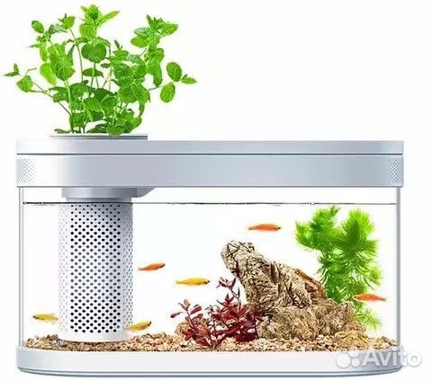 Аква-ферма Xiaomi C180 Smart Fish Tank Pro