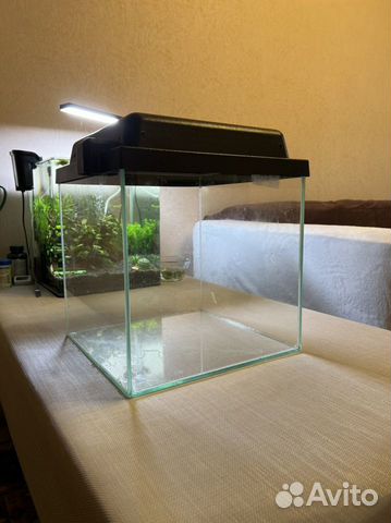 Аквариум на 30 литров