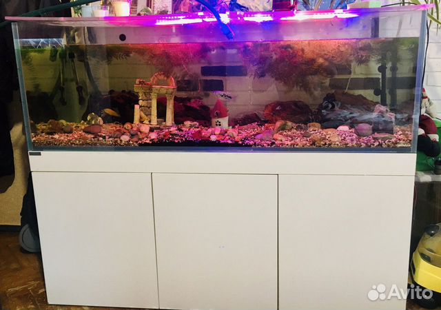 Аквариум 560 литров из стекла optiwhite