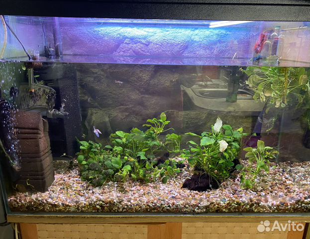 Аквариум 140л с тумбой и фильтром