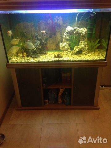 Аквариум акватлантис ip54