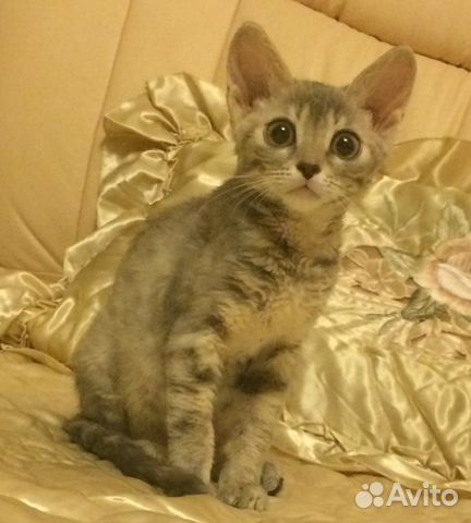 Сказка на Ночь Неаллерген Подарите Любимым Счастье