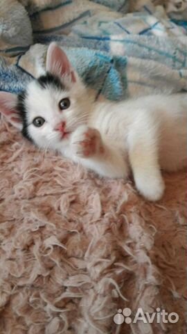 Фунтик в добрые ручки