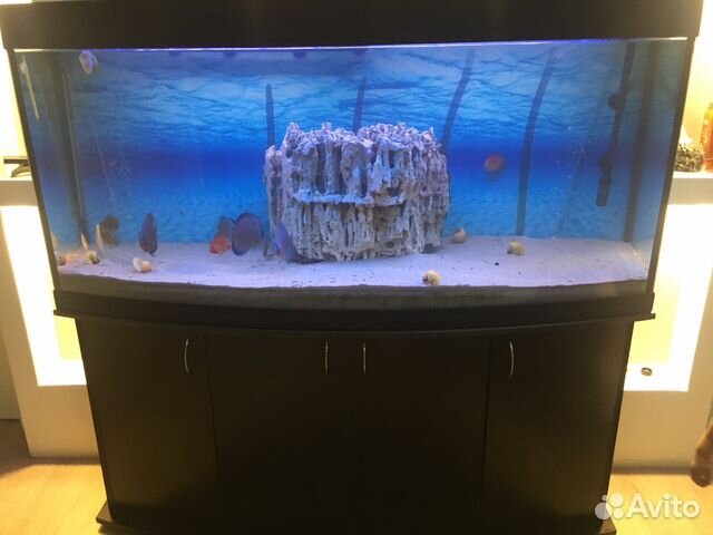 Продам аквариум 500л(панорамный)