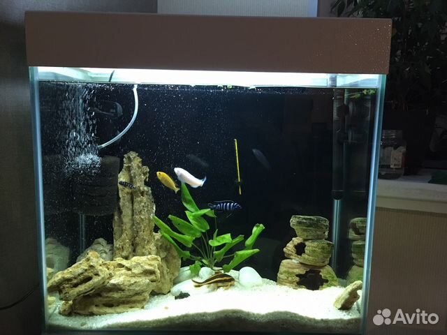 Аквариум 90литров