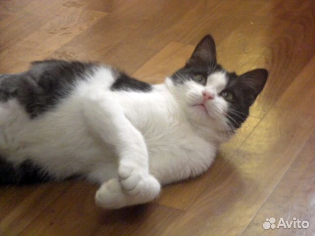 Малыш ждет хозяина