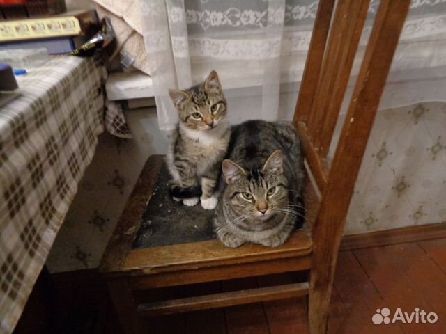 Позитивное лекарство от осенней депрессии