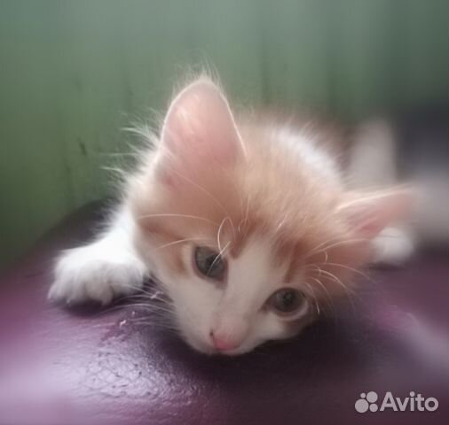 Супер позитивчик