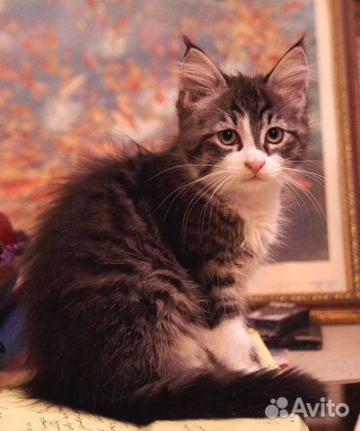 Девочка хочет домой