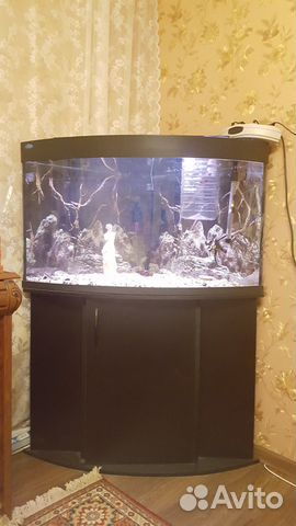 Аквариум угловой панорамный