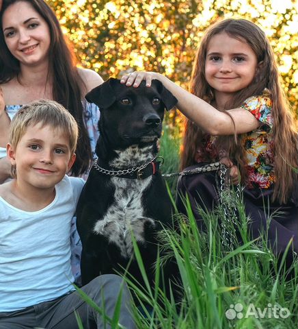 Пристраиваю шоколадную стаффочку