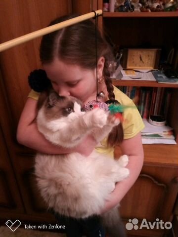 Наши рэдголл детки