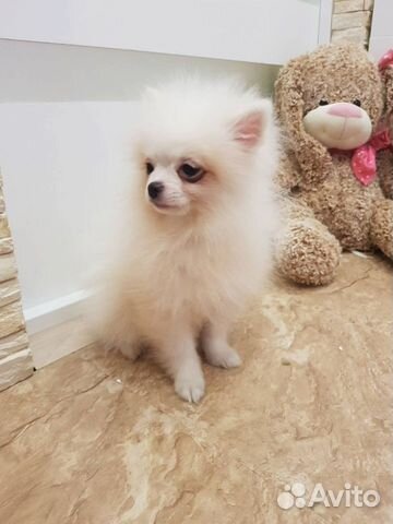 Очаровательный мальчик