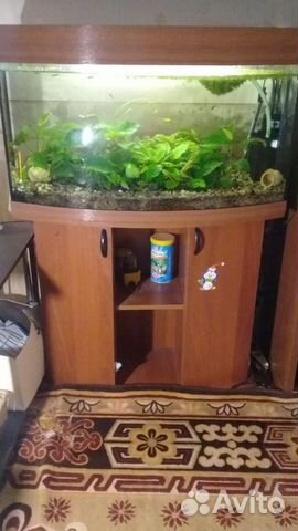 Аквариум 180 литров