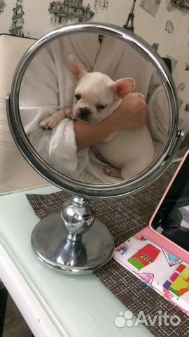 Милашка - Кремашака