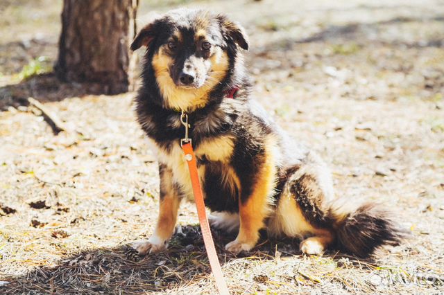 Маленькая девочка Кнопка