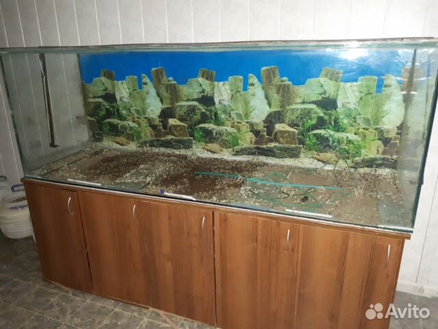 Аквариум-террариум