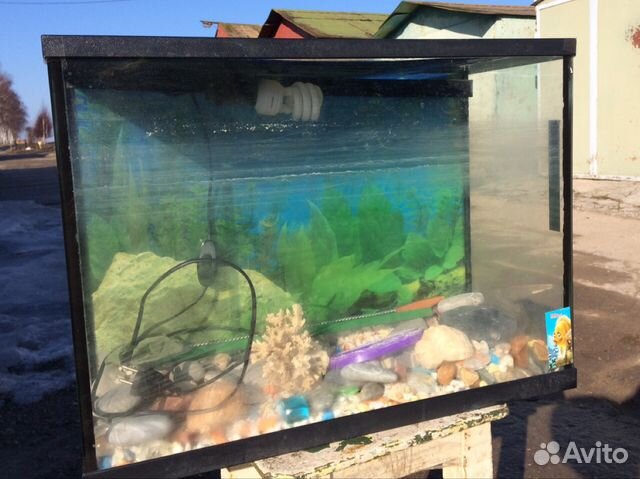 Аквариум и инвентарь, грунт