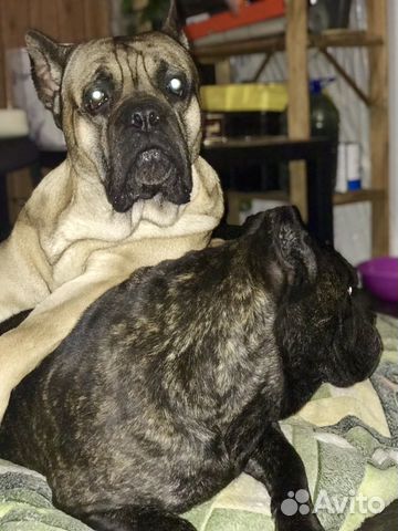 Кабель для Вязки