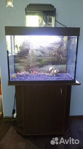 Аквариум 120л + Тумба