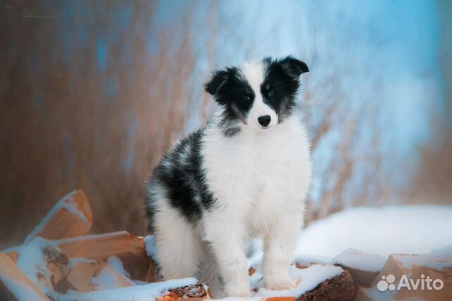 Милый парень