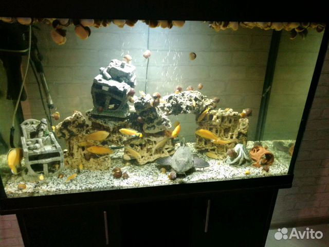 Аквариум