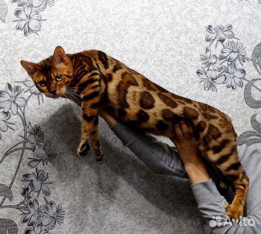 Kaвалеры приглашают дам