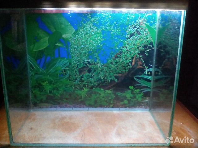 Аквариум бу 20л