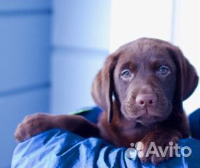 Космический парень