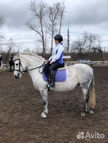 Детская лошадка