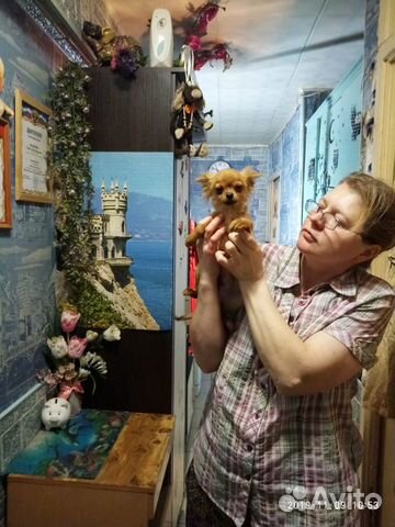 Пушистик