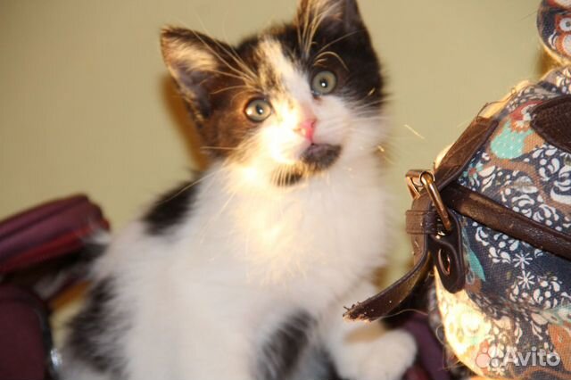 Чудесные карапузы в надежные ручки