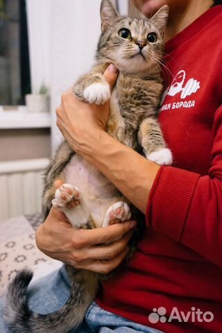 Красотка Шейла очень ждет родителей