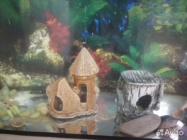 Аквариум с рыбками