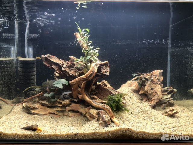 Аквариум
